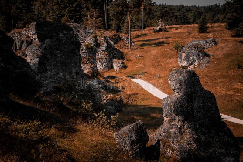 Rocks Captured Surrounding a Forest Trail Stock Image - Image of path ...