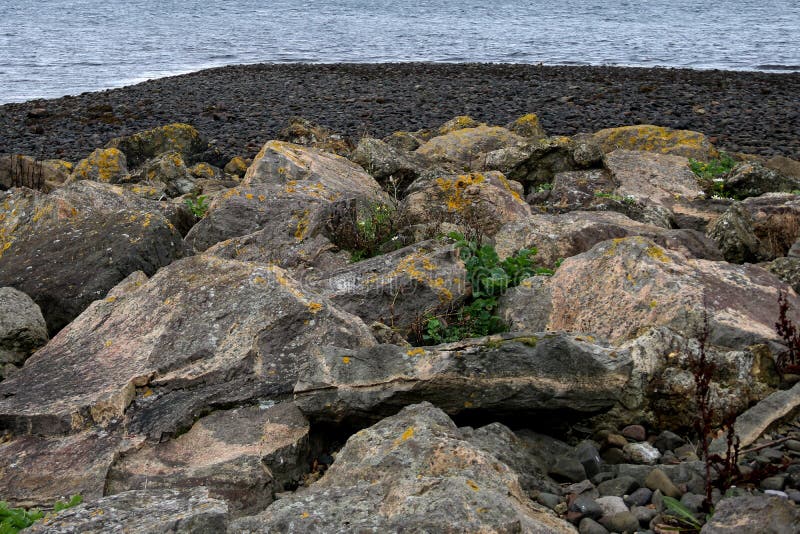 Rocks on a Coastal Shingle Beach Stock Image - Image of geological ...