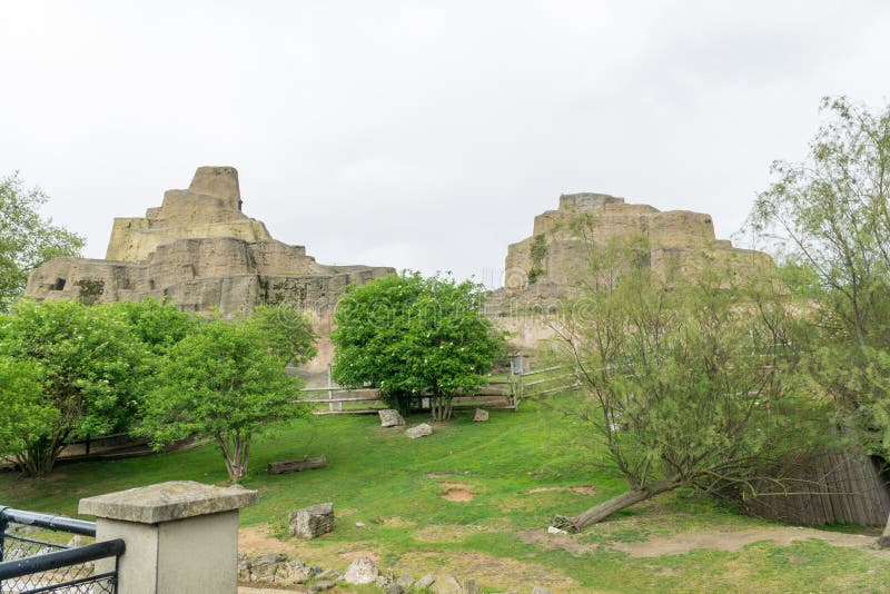 Rocks in a compound stock photo. Image of green, foliage - 92734624