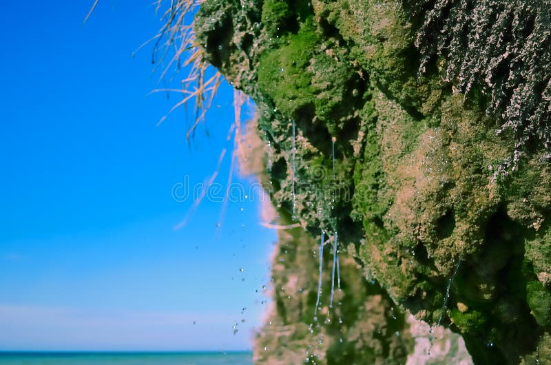 Rocks Covered with Moss on the Beach Stock Photo - Image of aqua, ocean ...