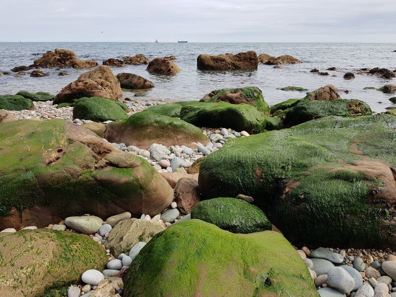 Rocks Covered with Moss. Irish Sea Stock Image - Image of stream, rocks ...
