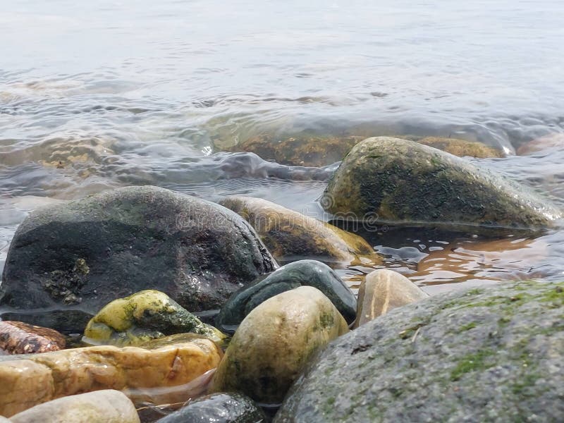 Rocks Covered in Ocean Algae and Foam Stock Image - Image of maritime ...