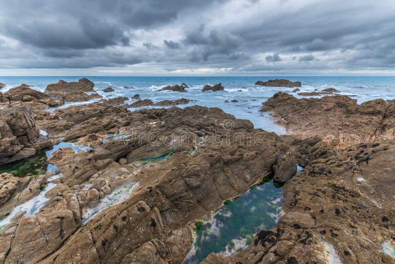 Rocks Covered with Shells on the Atlantic Coast Stock Photo - Image of ...