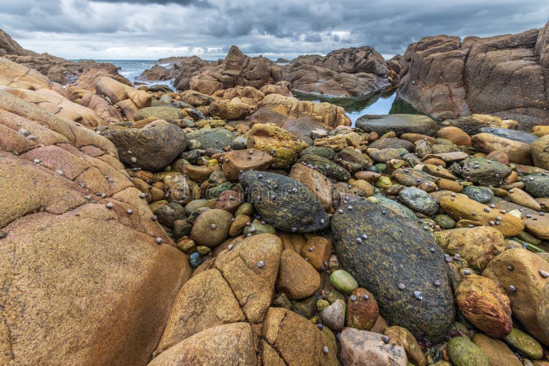 Rocks Covered with Shells on the Atlantic Coast Stock Image - Image of ...