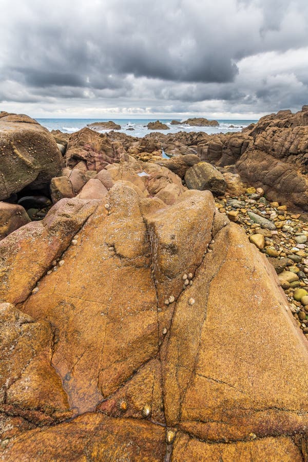 Rocks Covered with Shells on the Atlantic Coast Stock Photo - Image of ...