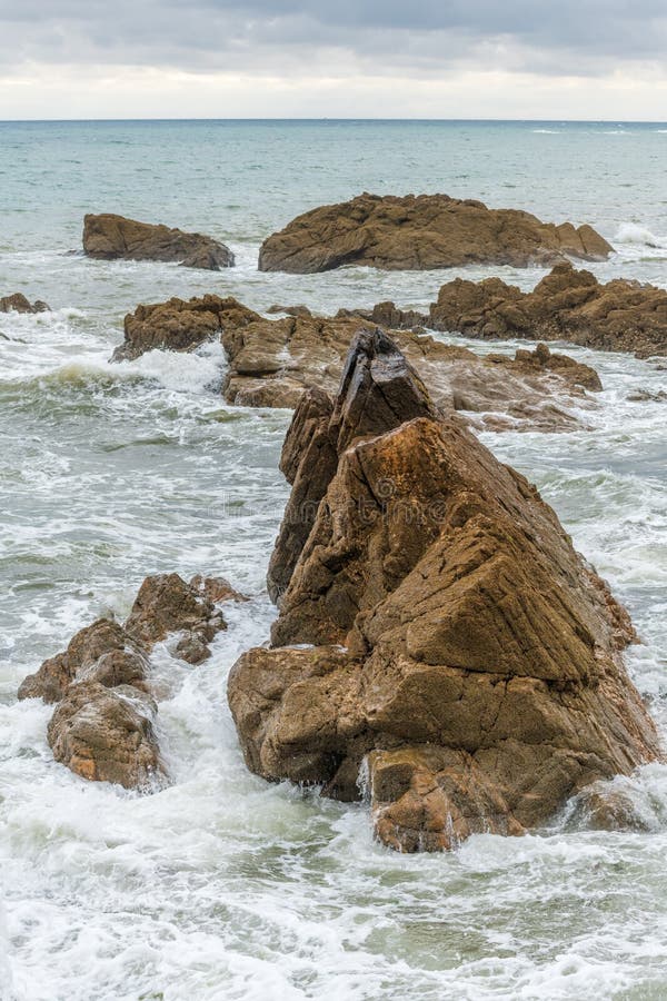Rocks Covered with Shells on the Atlantic Coast Stock Image - Image of ...