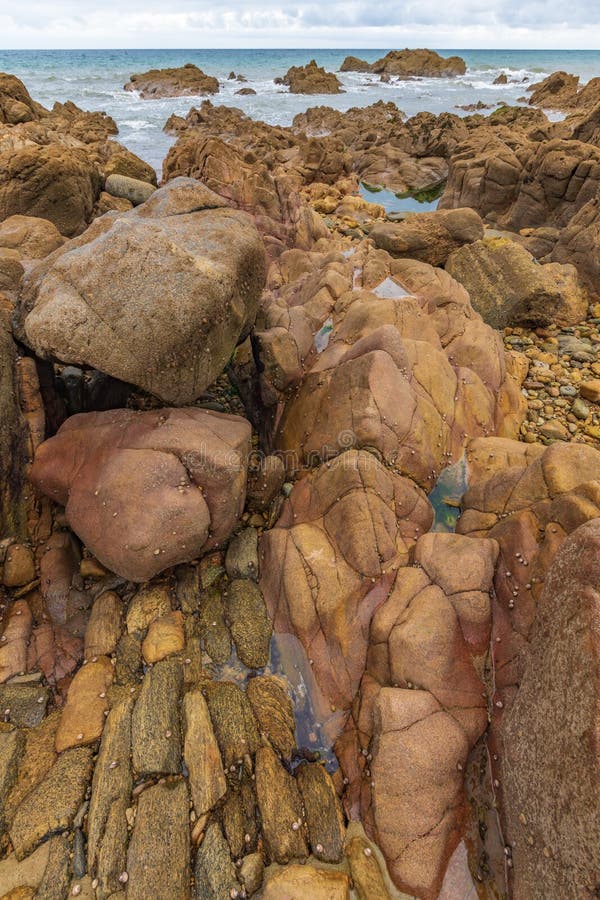 Rocks Covered with Shells on the Atlantic Coast Stock Photo - Image of ...