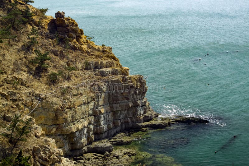 Rocks Covered with Vegetation Along the Sea Stock Photo - Image of ...