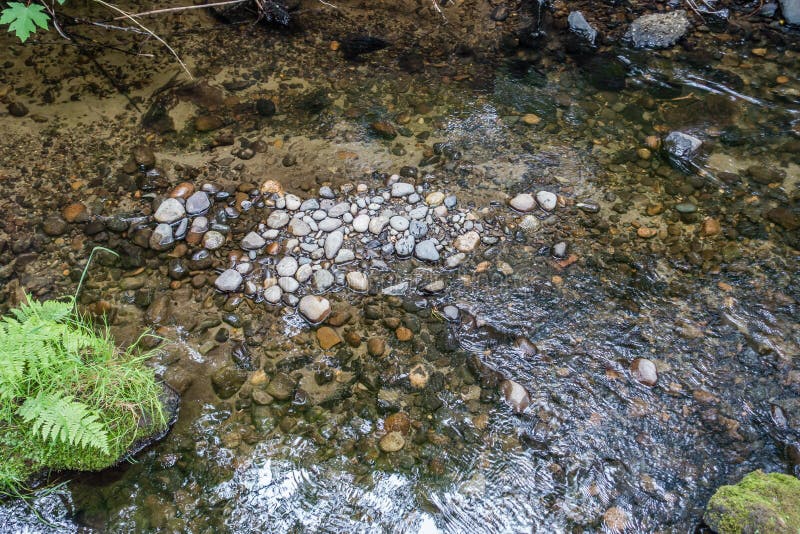 Rocks in Creek stock photo. Image of outdoors, creek - 117655744