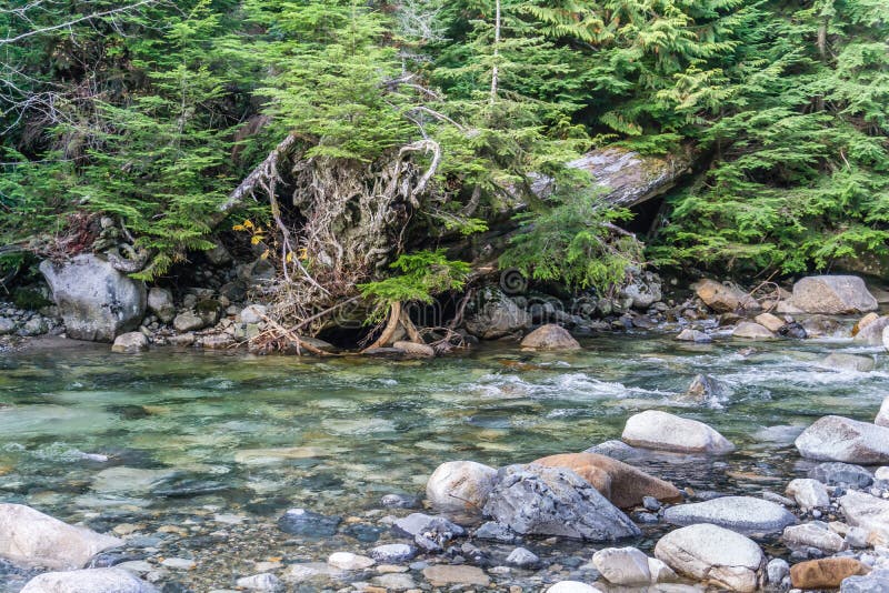 Rocks Creek and Trees 3 stock image. Image of nature - 169420731