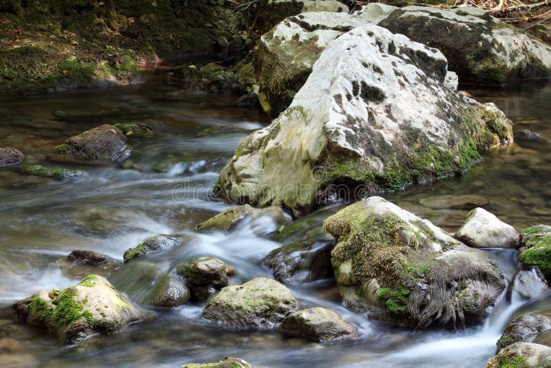 Rocks and creek water stock image. Image of leaf, scenic - 36548349