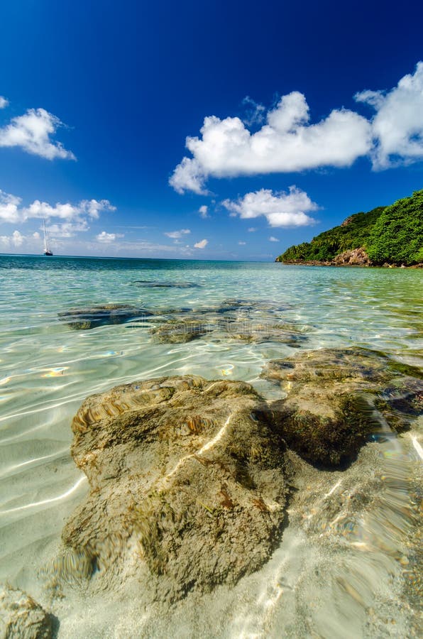 Rocks in Crystal Clear Water Stock Image - Image of andres, beach: 28909583
