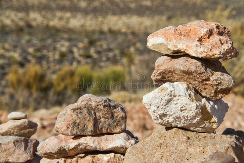 Stacked Desert Stones And Spectacular Wild Flowers Bloom In A Desert ...
