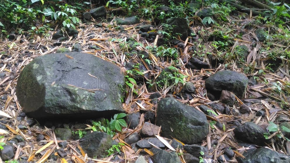 Rocks stock photo. Image of edge, rocks, beautyfull - 135625096