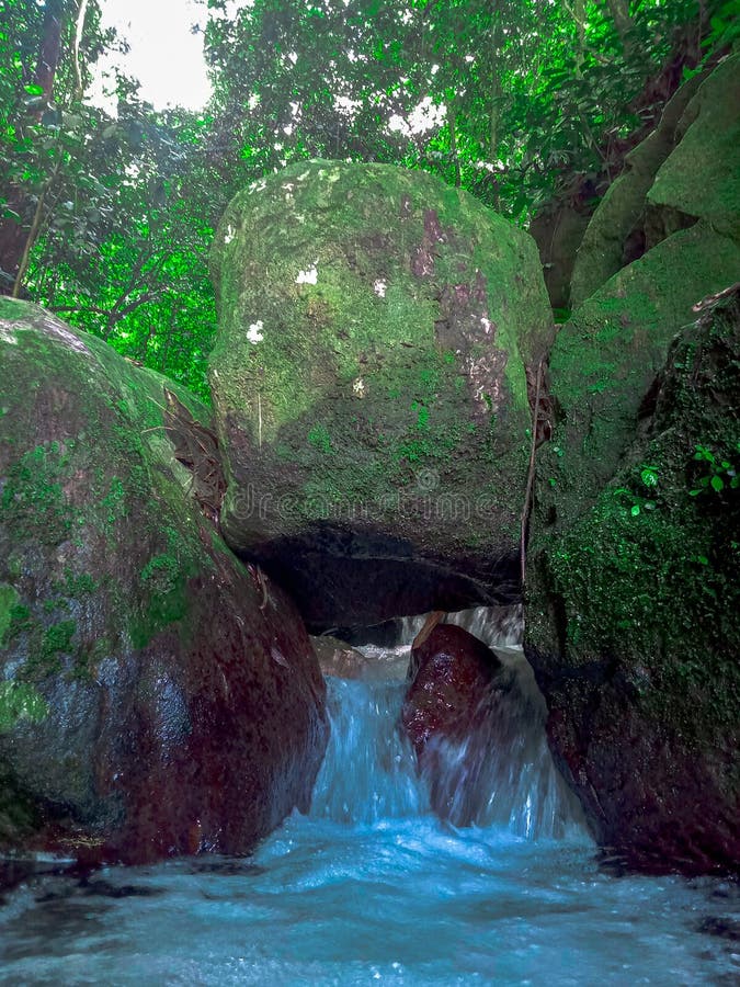 Rocks Flanked Over Flowing Mountain River in Green Forest with a Clear ...