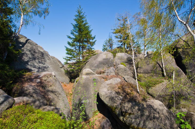 Rocks in the forest stock image. Image of europe, outdoor - 25071309