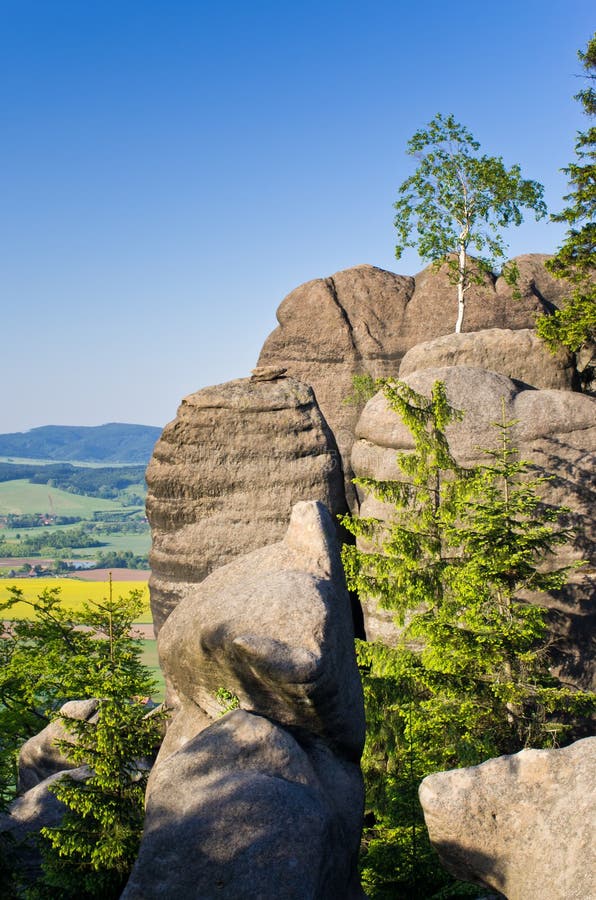 Rocks in the forest stock photo. Image of environment - 25769982
