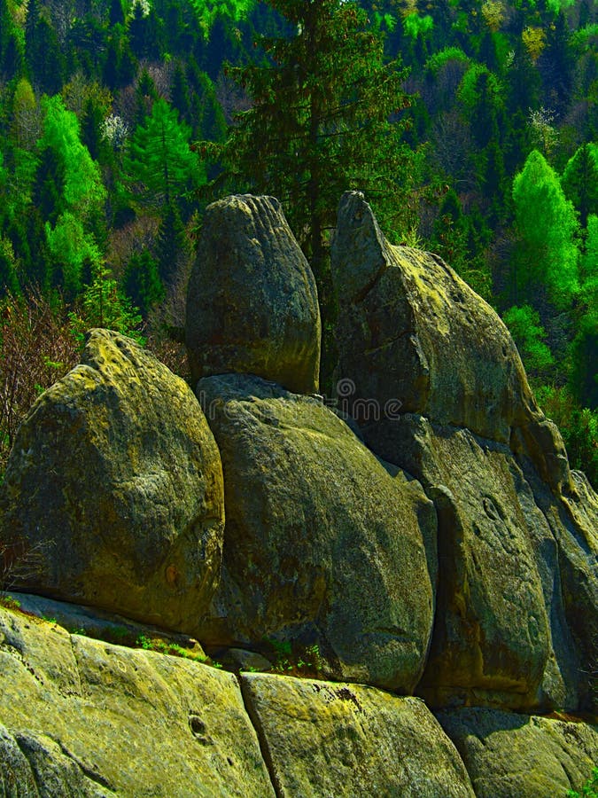 Rocks in the forest stock photo. Image of high, giant - 133814320