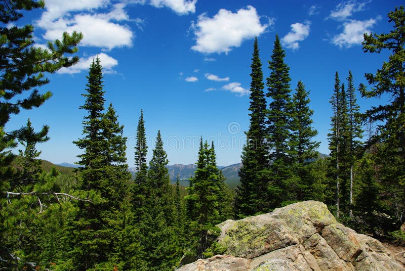 Rocks, Forests and Rocky Mountains, Colorado Stock Image - Image of ...