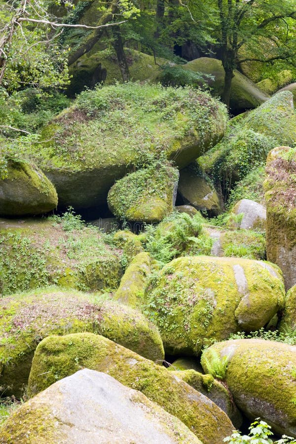 Rocks in forrest stock image. Image of walk, leafs, france - 9589283