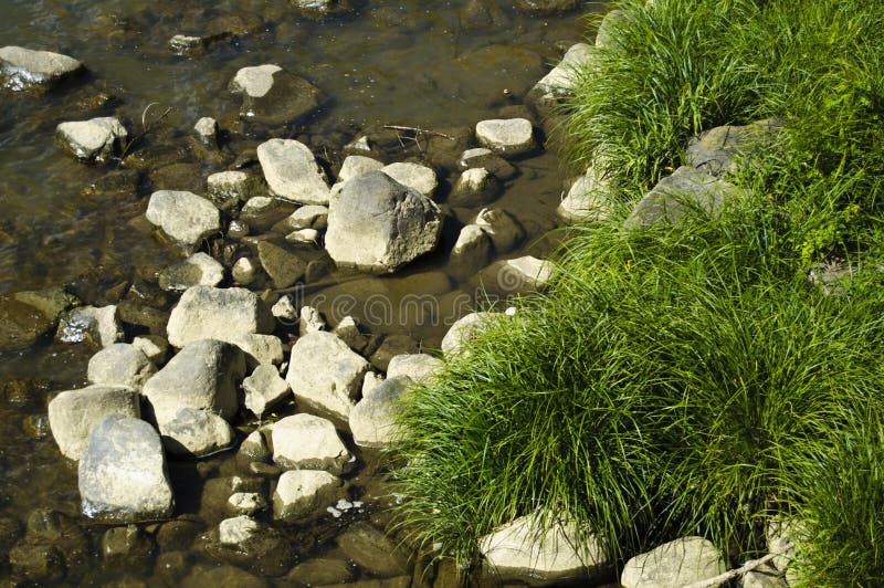 Rocks and Grass on Riverside Stock Image - Image of water, green: 37214527