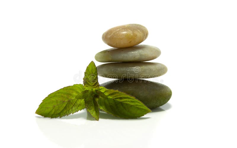 Rocks and Green Mint on Isolated White Stock Photo - Image of flora ...