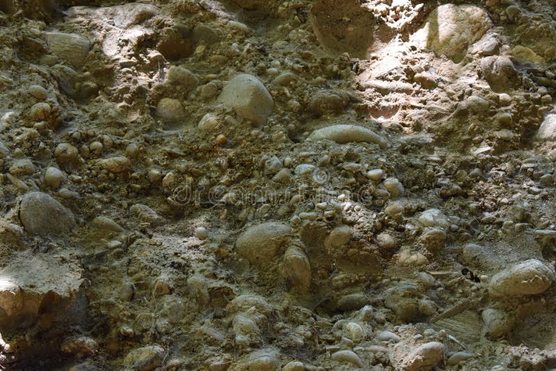 Rocks in the ground stock photo. Image of earth, daylight - 180384198