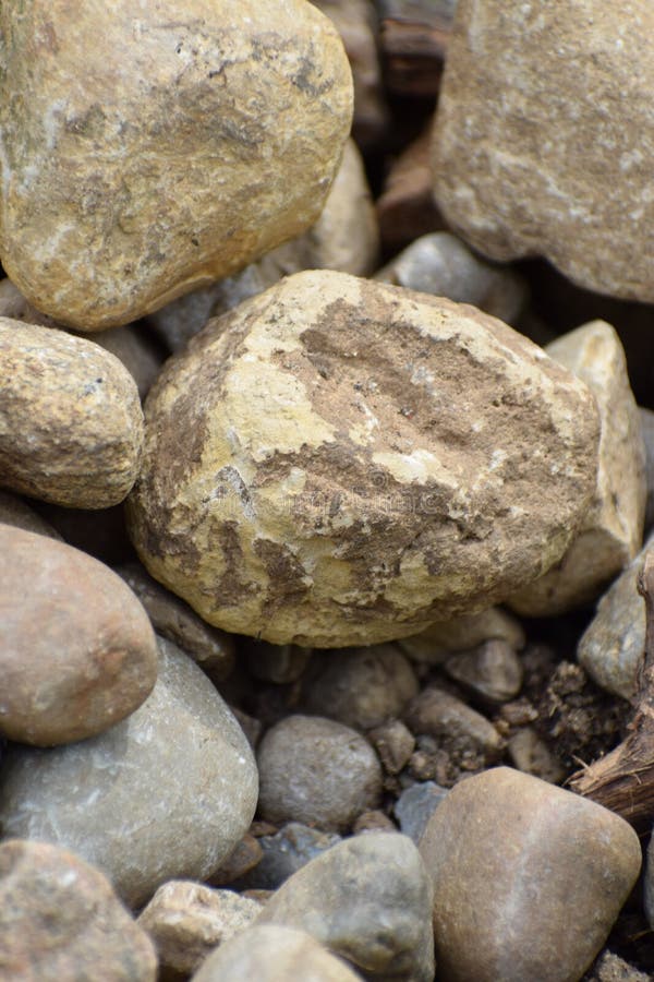 Rocks on the Ground stock image. Image of ground, wood - 99378781