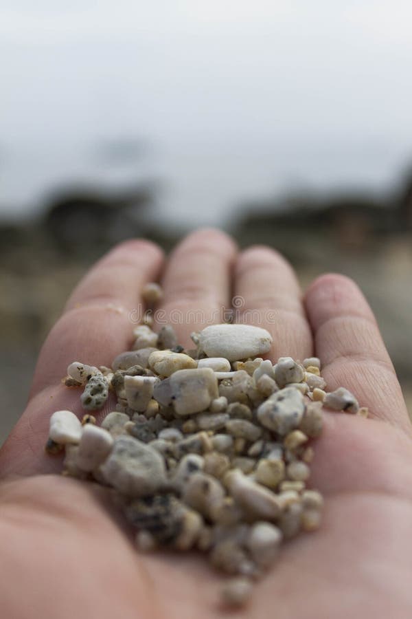 Rocks on hand stock photo. Image of tree, beach, rocks - 95739574