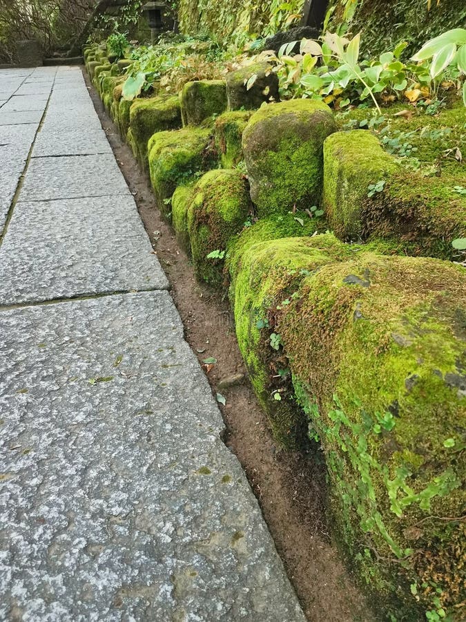The Rocks Has Moss on the Side of the Walkway. Stock Photo - Image of ...
