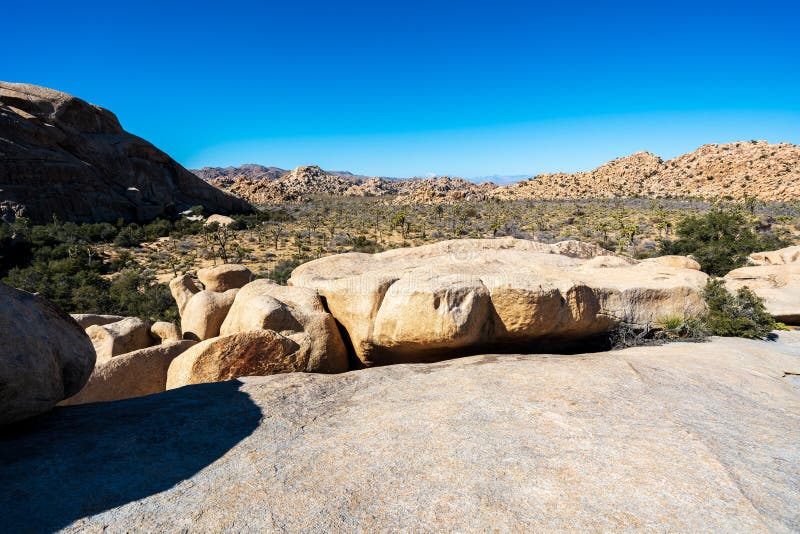 Rocks and Valley Landscapt in Joshua Tree Stock Image - Image of castus ...