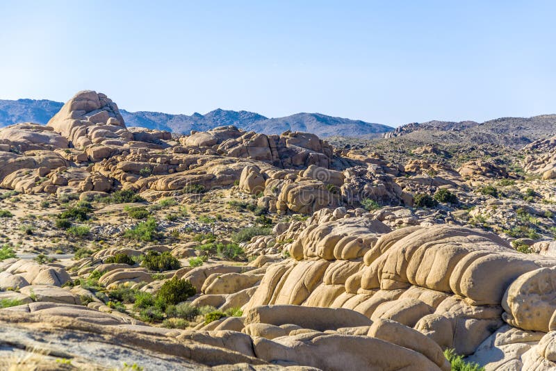 Rocks in the Joshua Tree National Park Stock Photo - Image of mojave ...