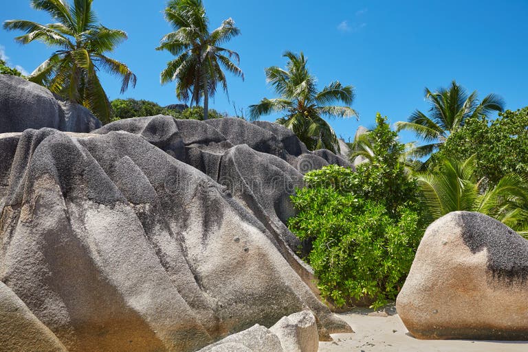 Rocks and jungle stock photo. Image of coast, rocks, source - 55739154