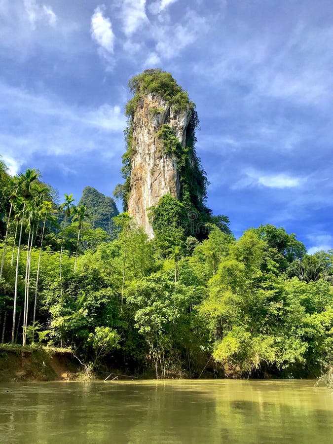 The rocks in the jungle stock image. Image of jungle - 123041515