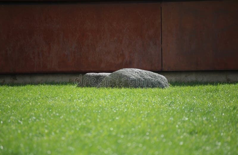 Rocks on Lawn stock image. Image of colors, front, effect - 46829767