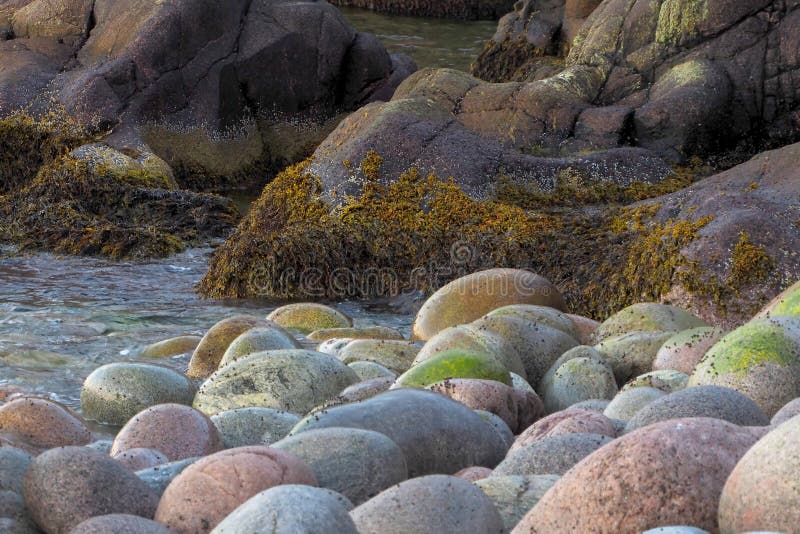 Rocks at Low Tide in the Arctic Ocean. Arctic Landscape Stock Photo ...