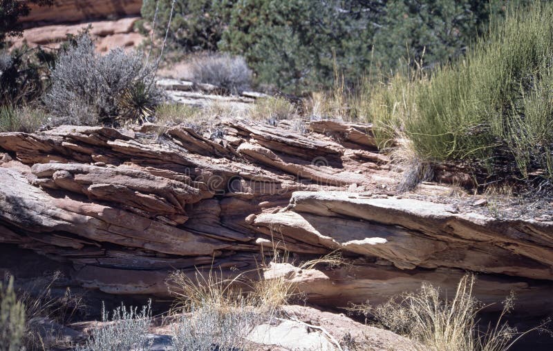 Sandstone Strata in the Colorado Landscape Stock Photo - Image of ...