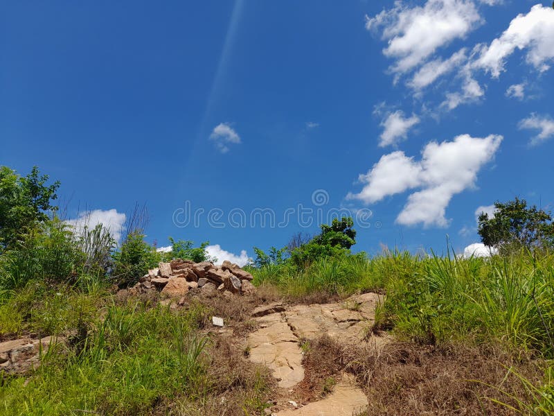 Rocks Mixed with Green Grass Blue Sky Wall Papers and Backgrounds Stock ...