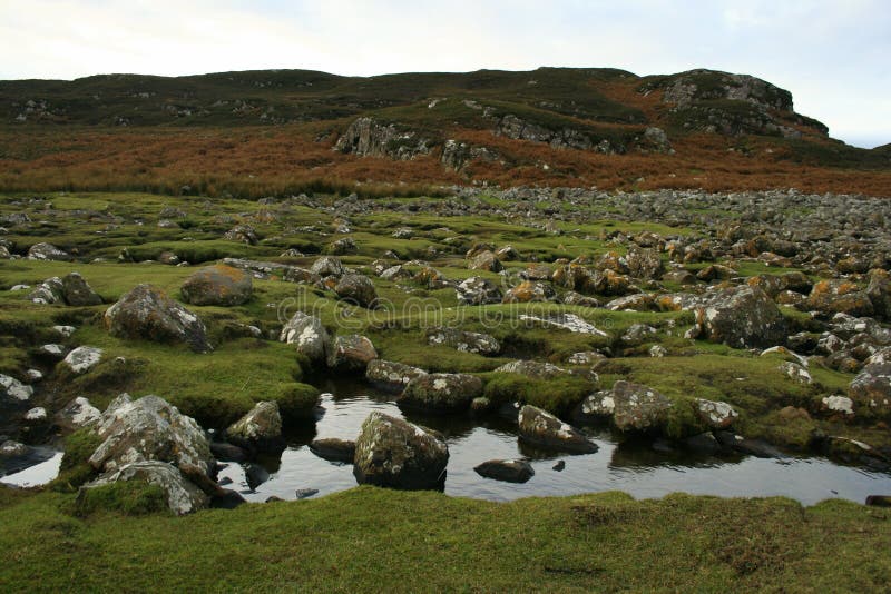 Rocks and Moss stock image. Image of green, stones, heather - 13024049