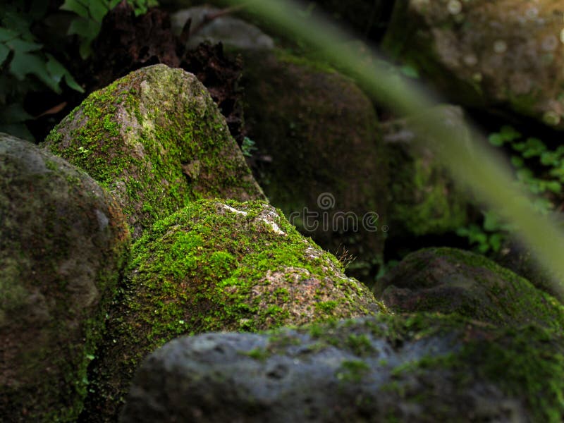 Rocks and moss stock photo. Image of rock, texture, moss - 205944