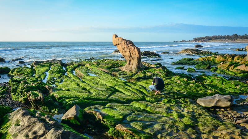 Co Thach Beach with the Rocks in Ninh Thuan, Vietnam Stock Photo ...