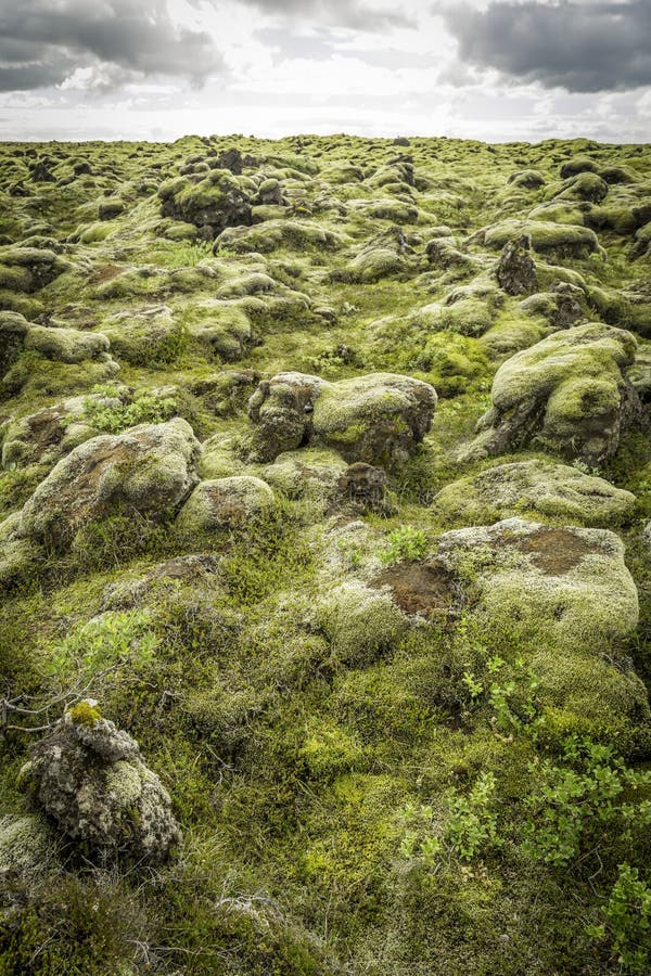 Rocks and Moss stock photo. Image of landscape, park - 43407656