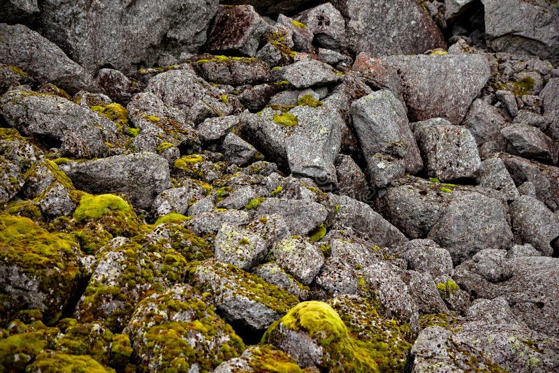 Rocks and Moss stock photo. Image of green, nature, rock - 45721420