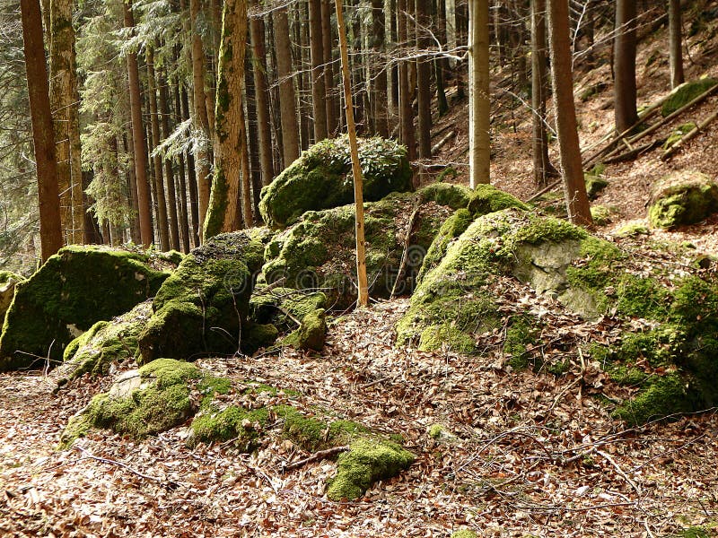 Rocks with Moss in the Woods Stock Photo - Image of landscape, mountain ...