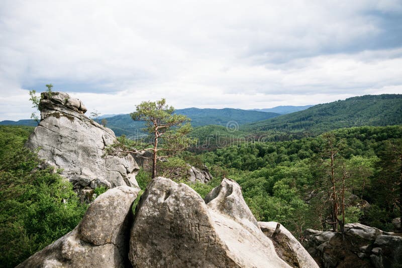 Rocks in the Mountains among the Forest. Geological Rock, Stones Stock ...