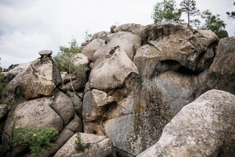 Rocks in the Mountains among the Forest. Geological Rock, Stones Stock ...