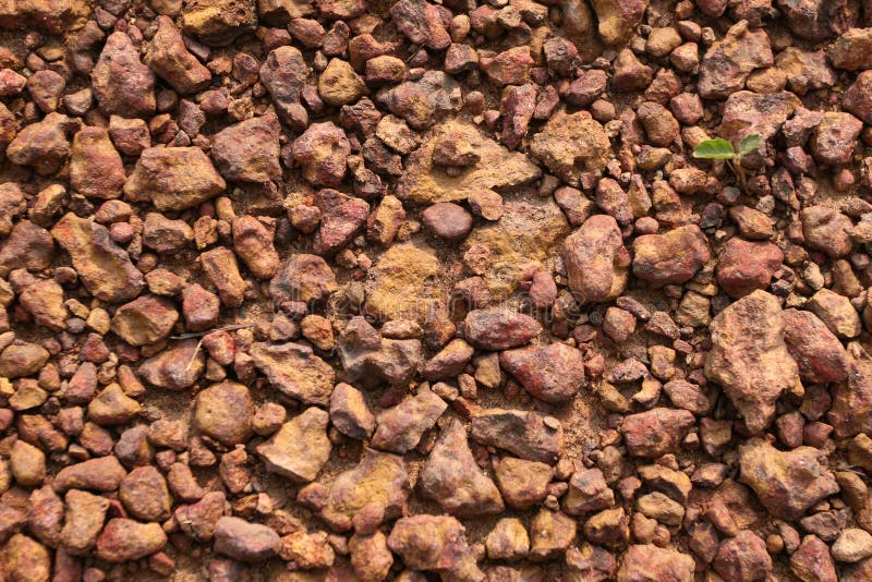 Rocks and Mud Background stock photo. Image of plain, gold - 1046222