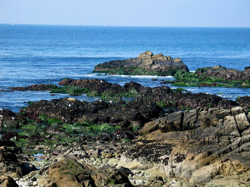Rocks at ocean beach stock image. Image of blue, pacific - 5671153
