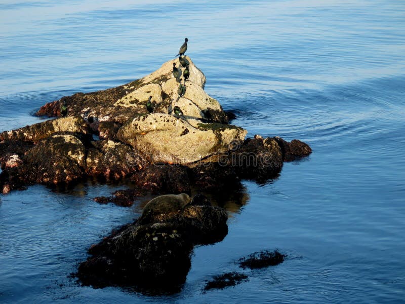 Speed boat stock image. Image of power, competition, leisure - 15737407