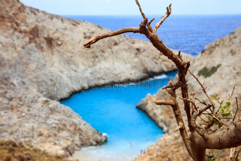 Small Beach and Cove with Common Seals Nestled in the Cliffs of the St ...